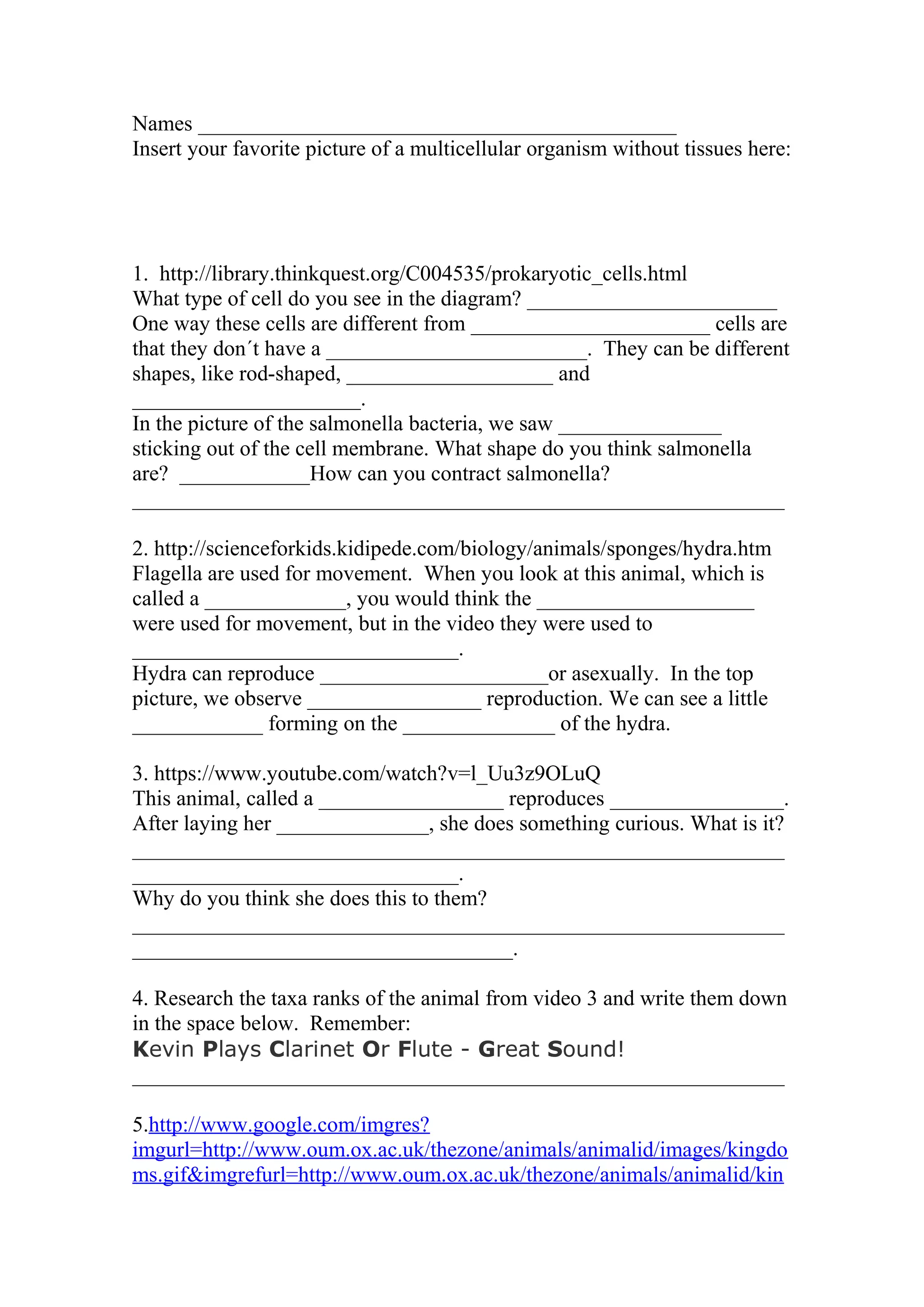 Unit 3 internet research project. 1º eso | DOC