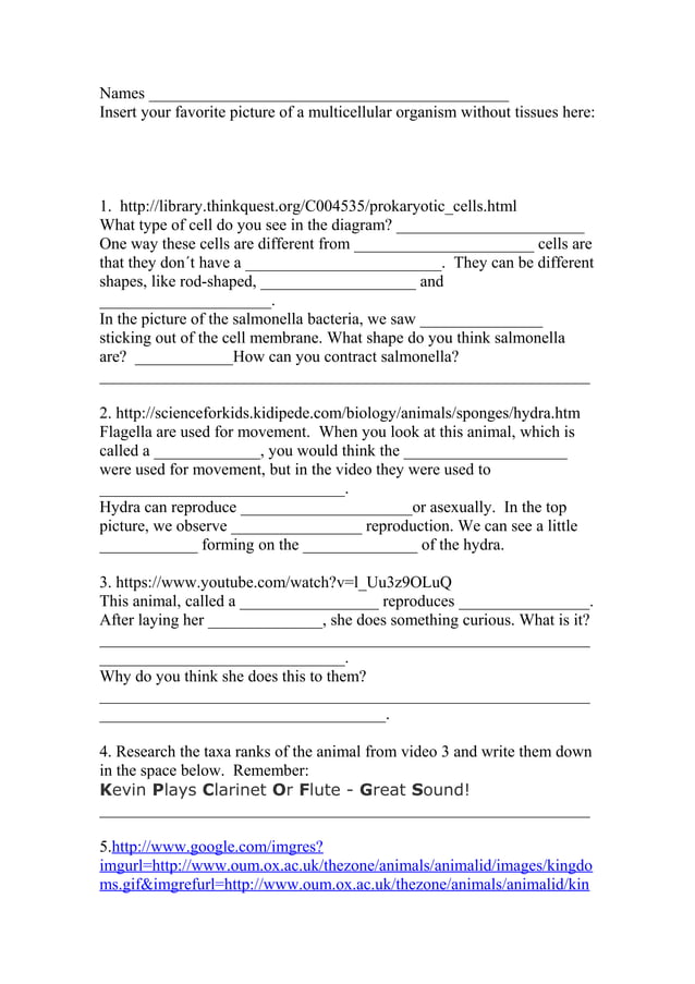 Unit 3 internet research project. 1º eso | DOC