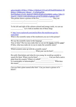 Unit 3 internet research project. 1º eso | DOC