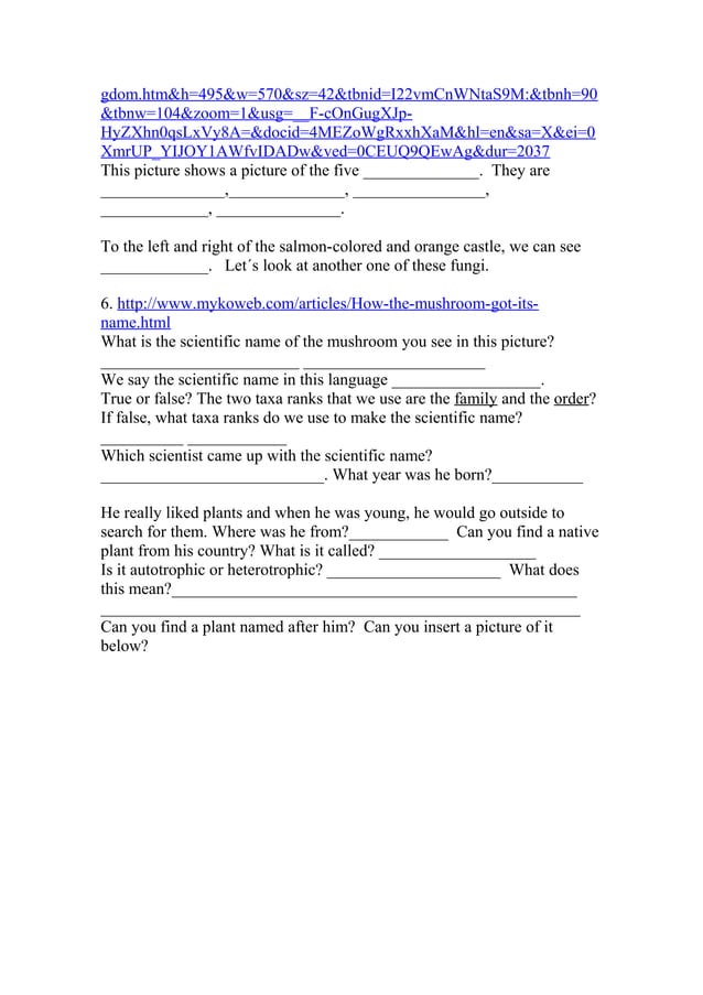 Unit 3 internet research project. 1º eso | DOC