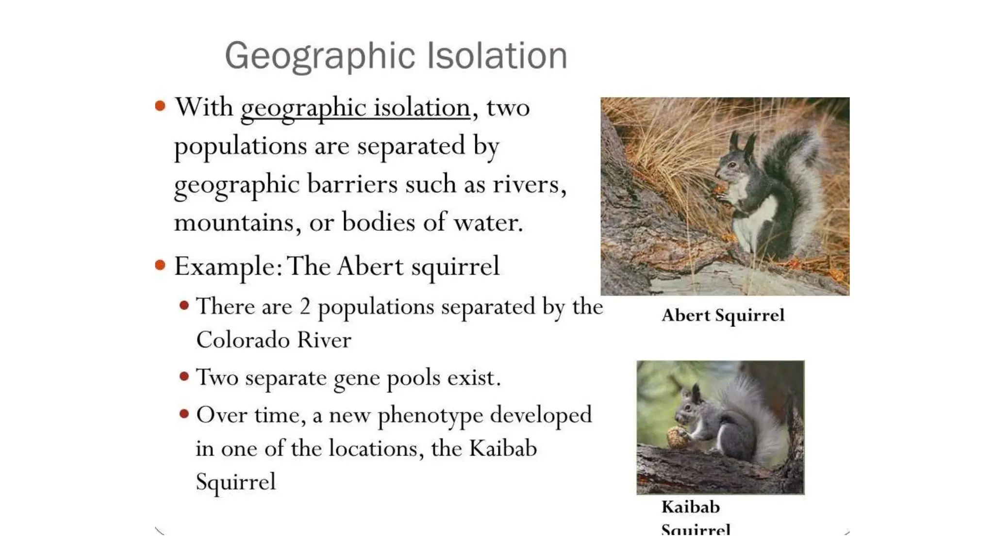 Isolating mechanism.pptx