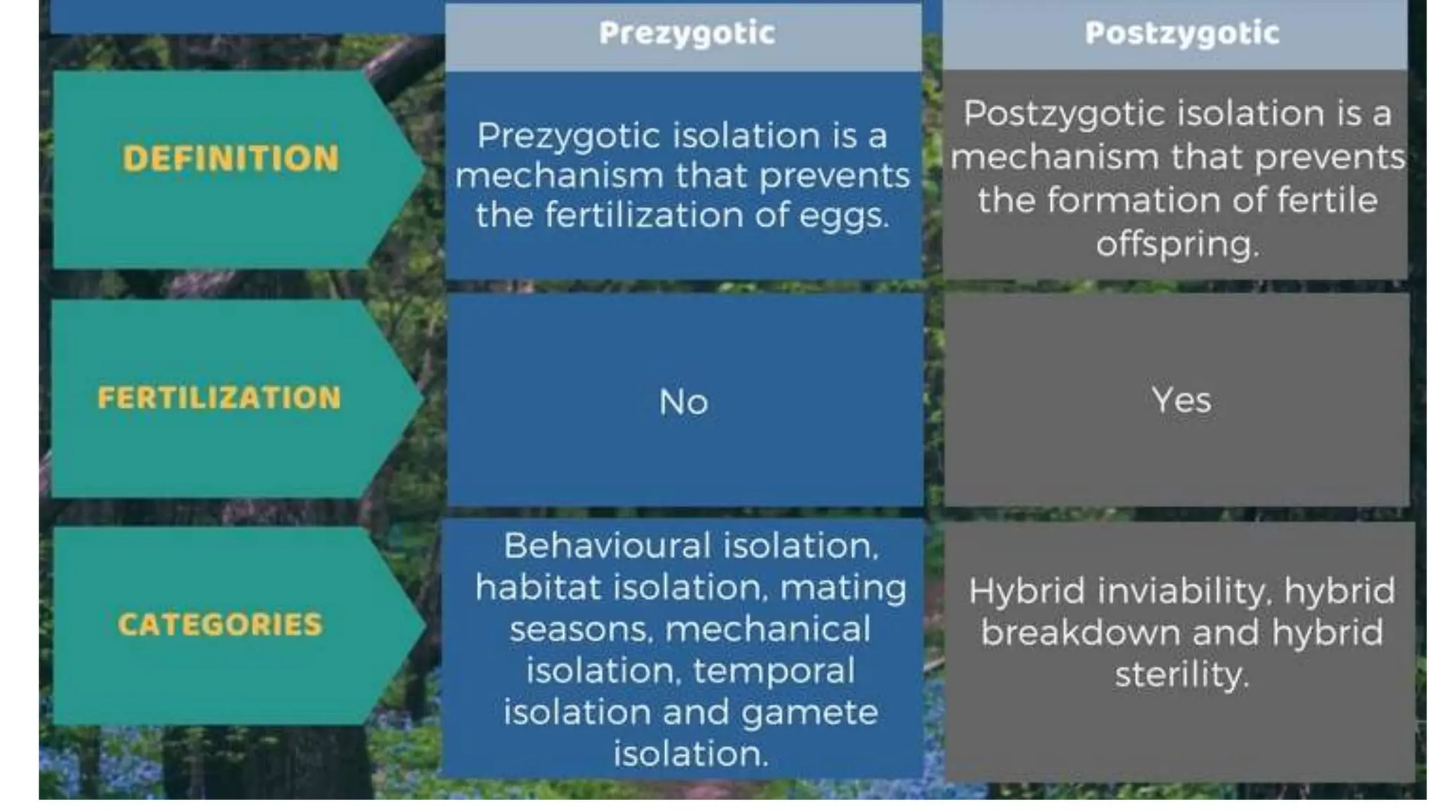 Isolating mechanism.pptx