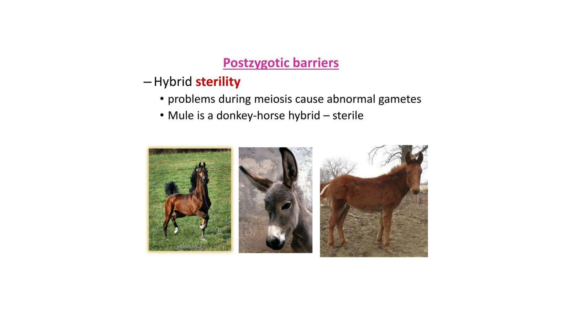 Isolating mechanism.pptx