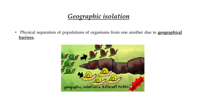 Isolating mechanism.pptx