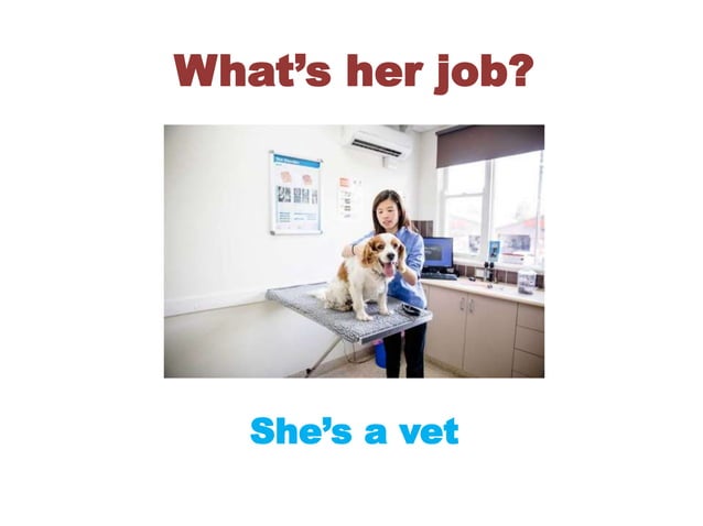 Unit 3 Jobs and verb to BE | PPT