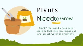 Unit 3 L1.pptx What do plants need to live | PPT