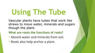 Unit 3 L1.pptx grade 4 type of plants go science book | PPTX