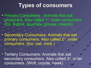 Unit 3 lesson 1 food chains | PPT