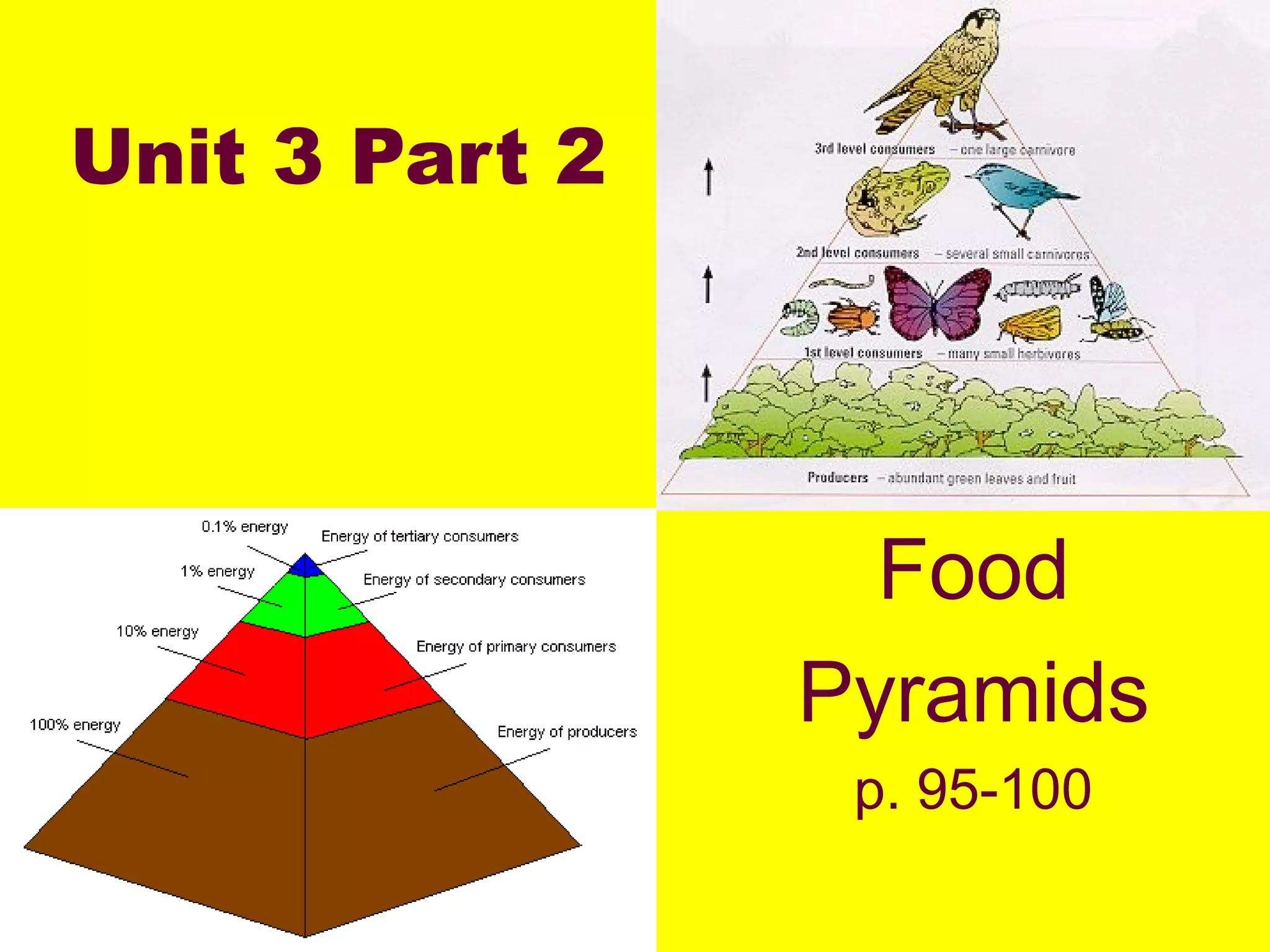 Unit 3 lesson 2 food pyramids | PPT