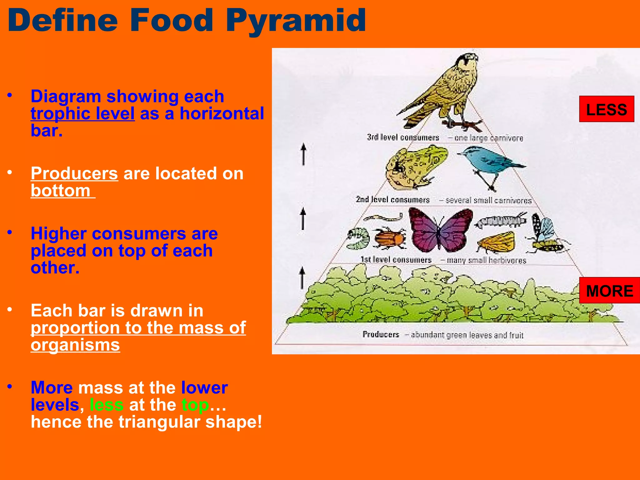 Unit 3 lesson 2 food pyramids | PPT