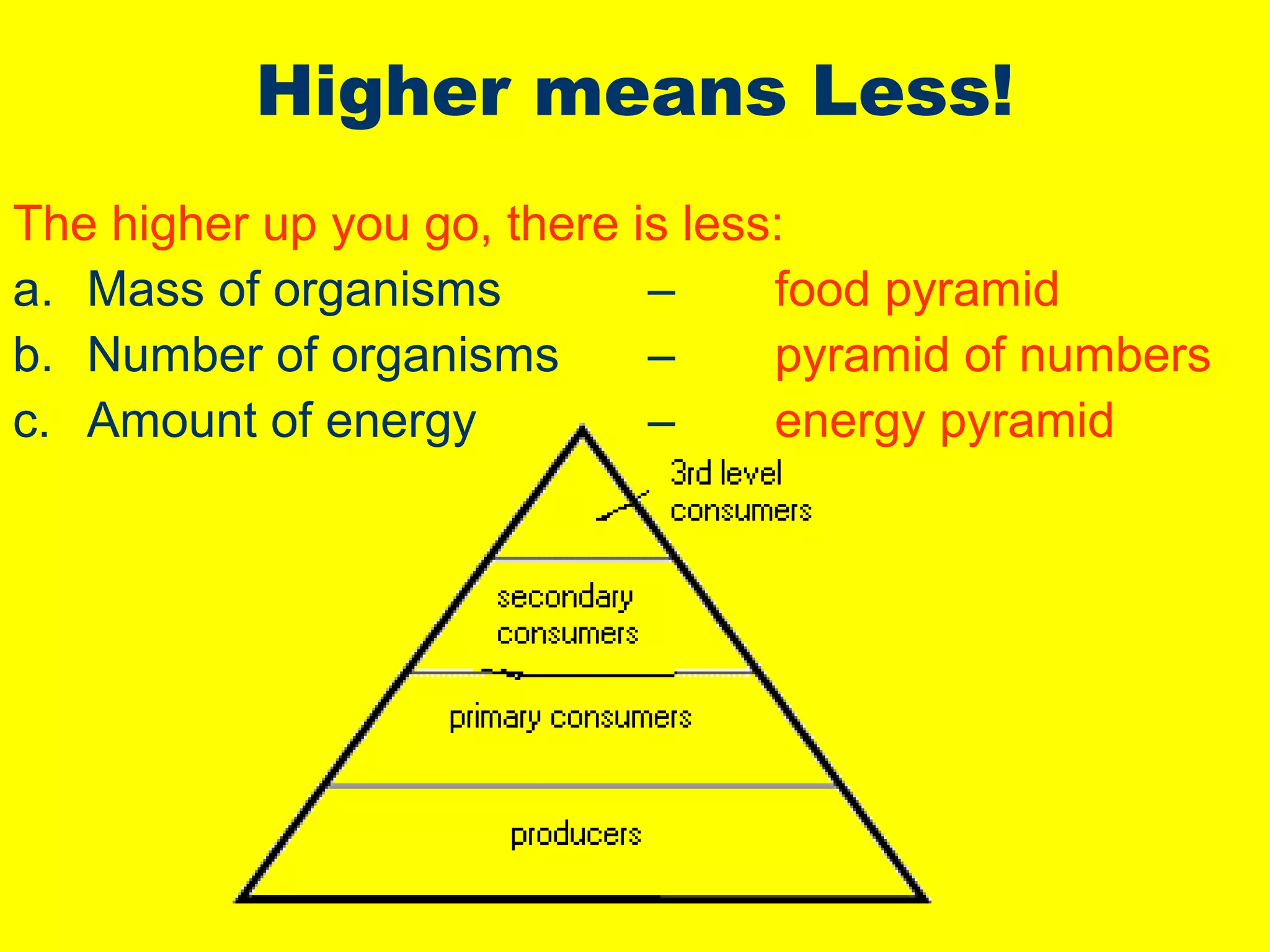 Unit 3 lesson 2 food pyramids | PPT
