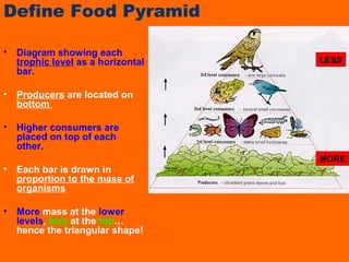 Unit 3 lesson 2 food pyramids | PPT