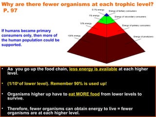 Unit 3 lesson 2 food pyramids | PPT