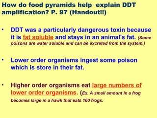 Unit 3 lesson 2 food pyramids | PPT