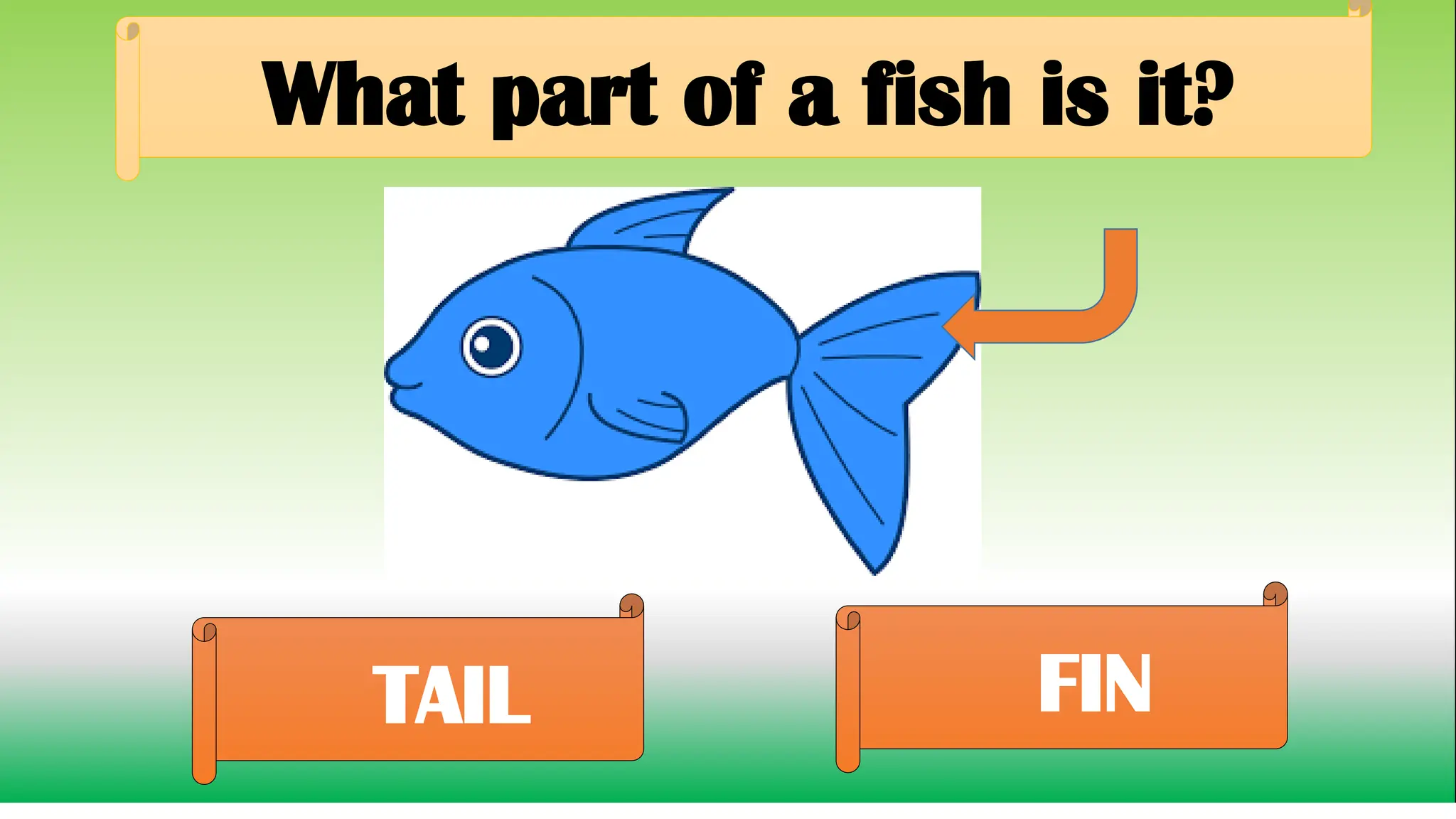Unit 3 Lesson 4 BODY PARTS OF ANIMALS.pptx