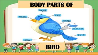 Unit 3 Lesson 4 BODY PARTS OF ANIMALS.pptx