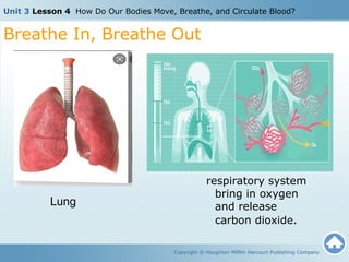 unit 3 lesson 4 p144 to 149.ppt raspirstory system | PPT