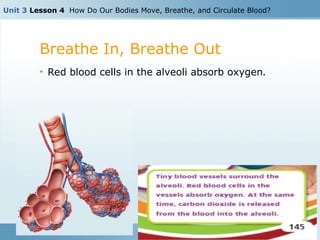 unit 3 lesson 4 p144 to 149.ppt raspirstory system | PPT