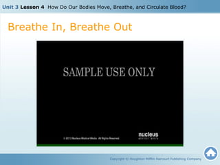 unit 3 lesson 4 p144 to 149.ppt raspirstory system | PPT