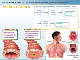 unit 3 lesson 4 p144 to 149.ppt raspirstory system | PPT