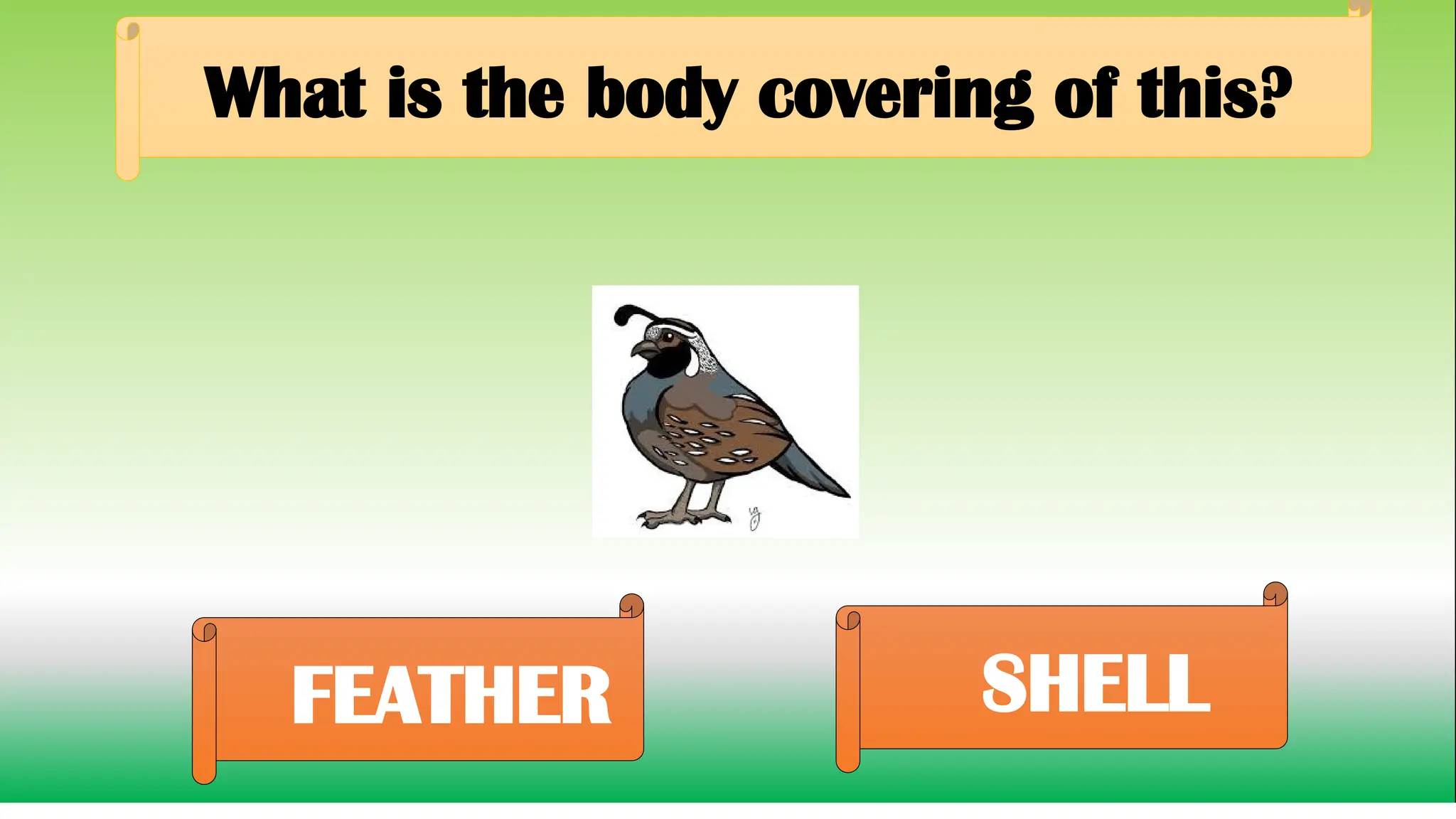 Unit 3 Lesson 5 BODY COVERING OF ANIMALS.pptx