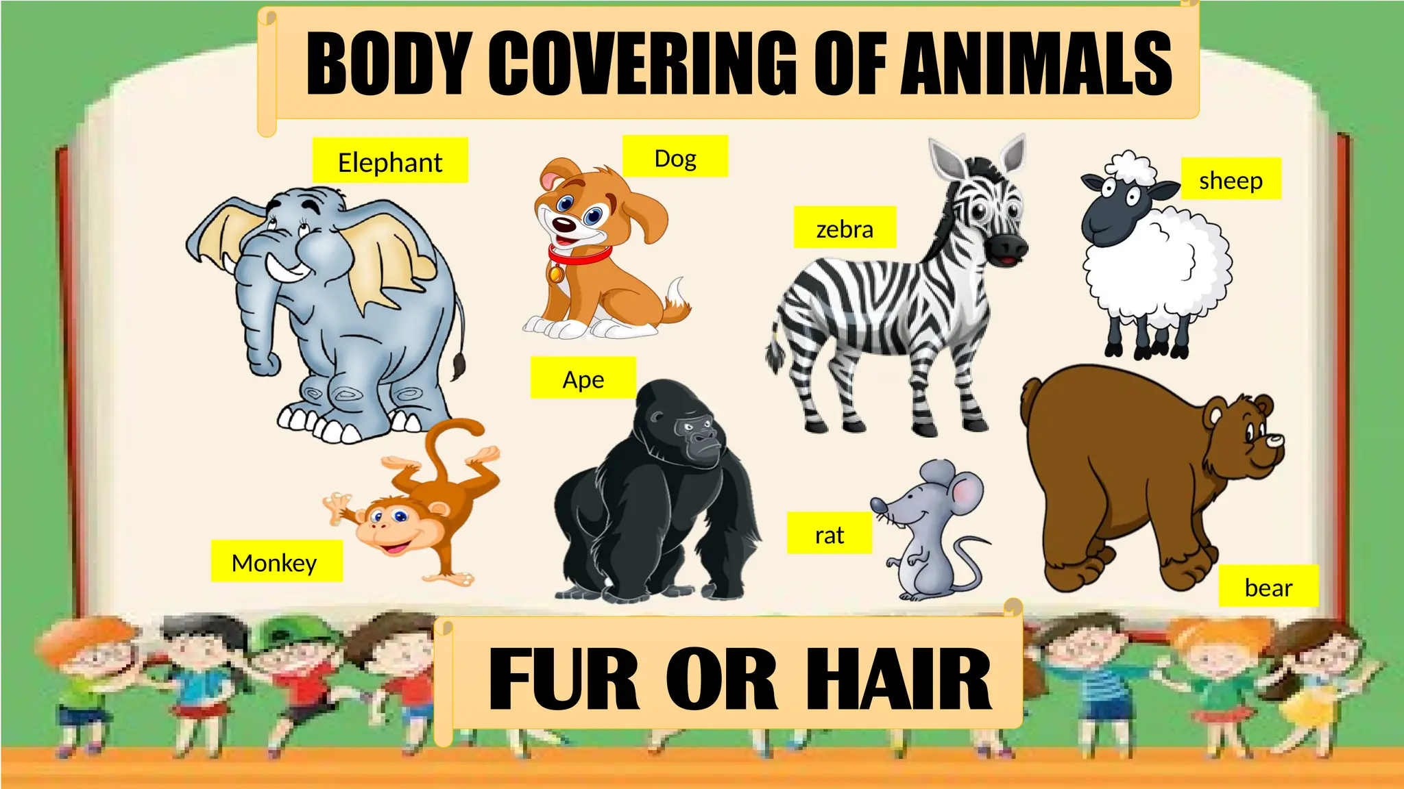 Unit 3 Lesson 5 BODY COVERING OF ANIMALS.pptx