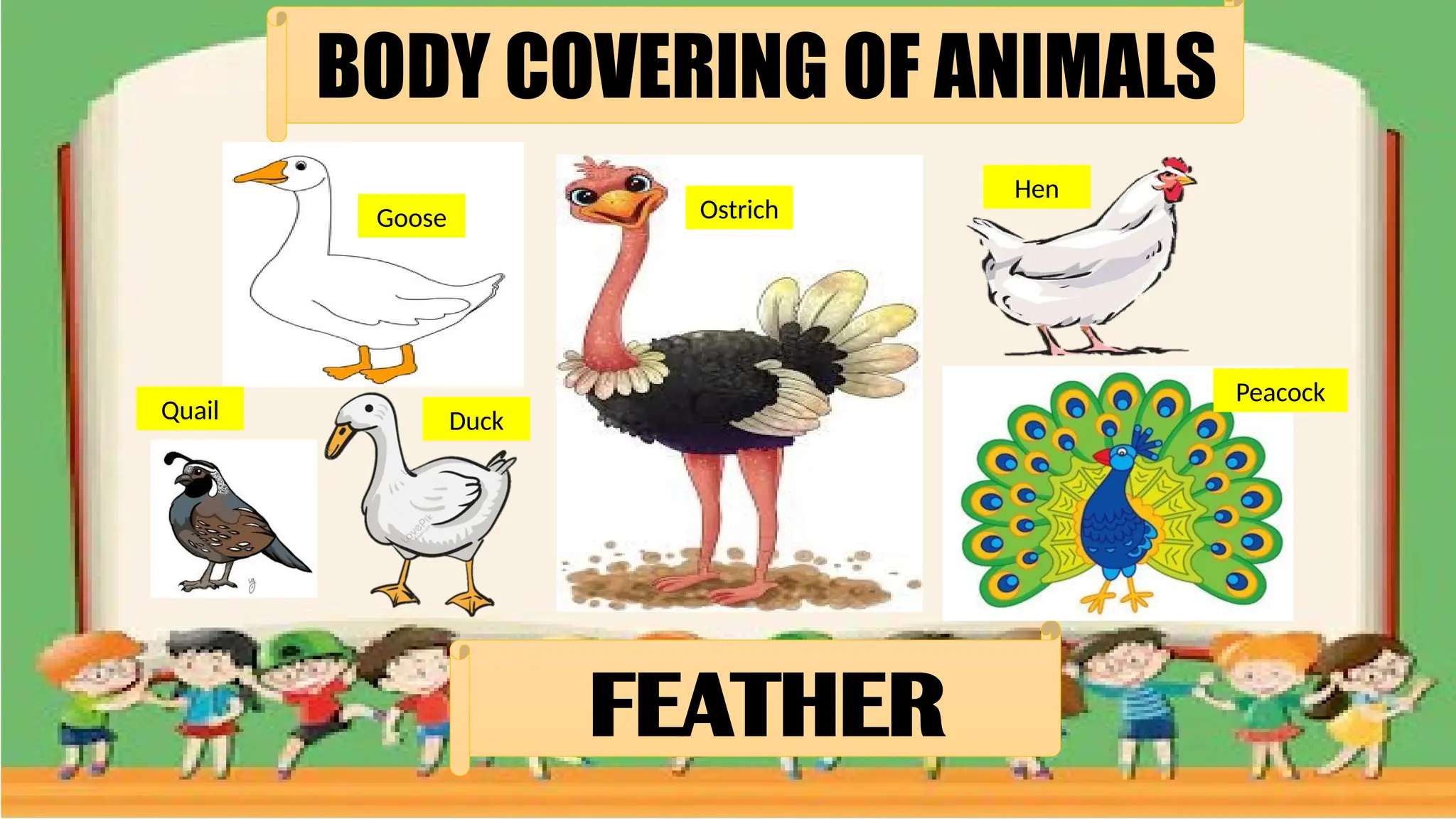 Unit 3 Lesson 5 BODY COVERING OF ANIMALS.pptx