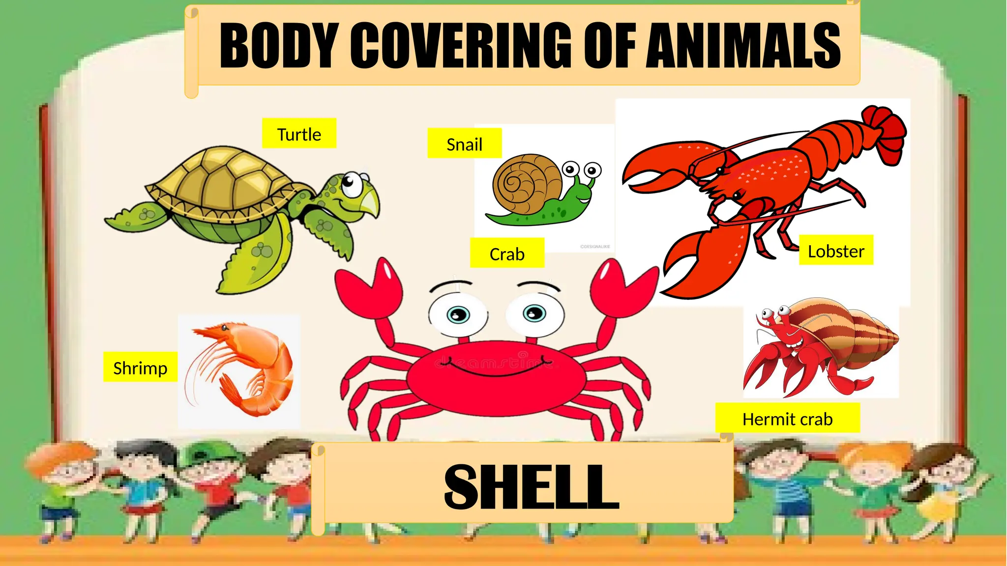 Unit 3 Lesson 5 BODY COVERING OF ANIMALS.pptx