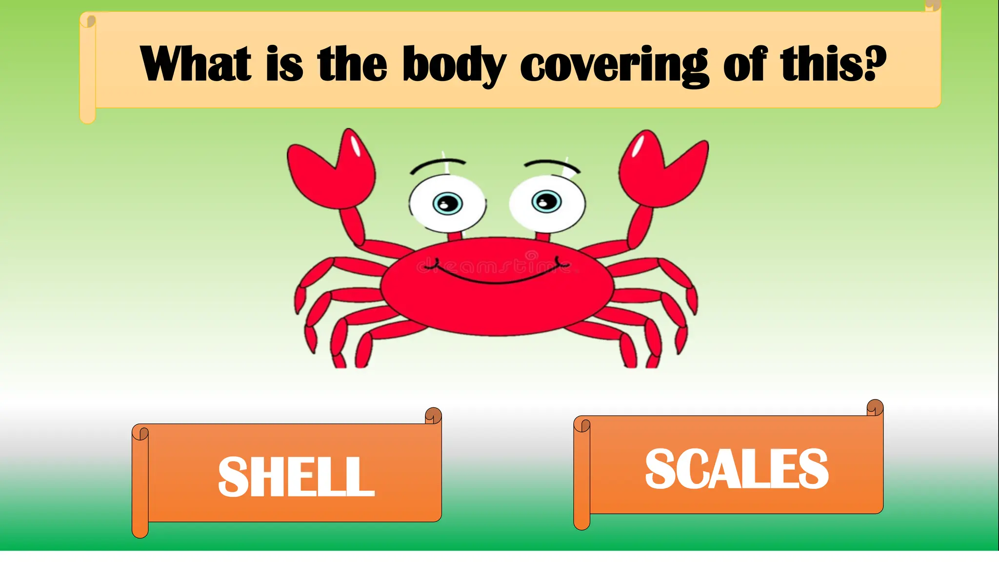 Unit 3 Lesson 5 BODY COVERING OF ANIMALS.pptx