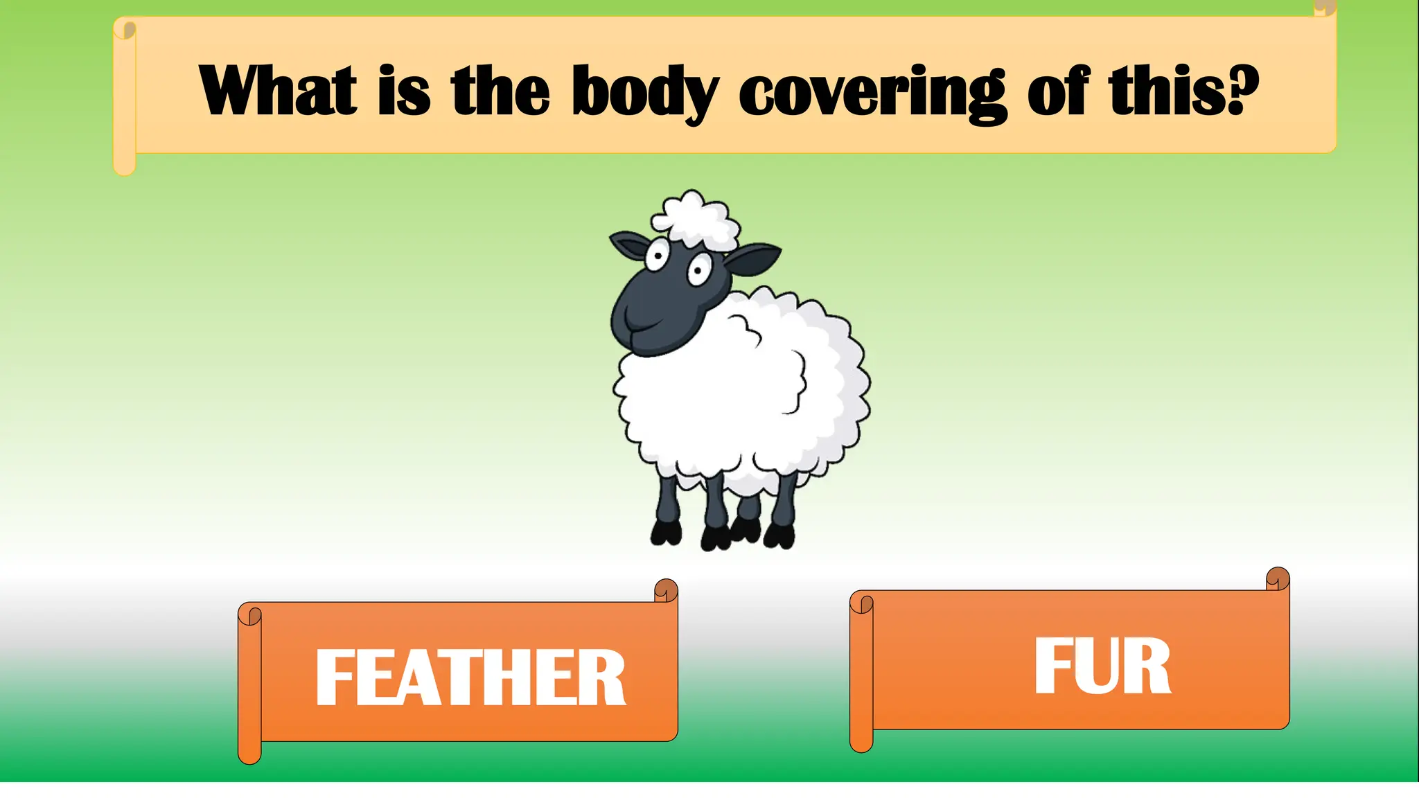 Unit 3 Lesson 5 BODY COVERING OF ANIMALS.pptx