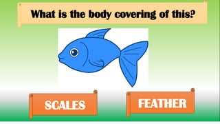 Unit 3 Lesson 5 BODY COVERING OF ANIMALS.pptx