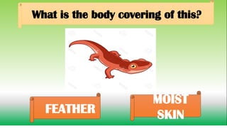 Unit 3 Lesson 5 BODY COVERING OF ANIMALS.pptx