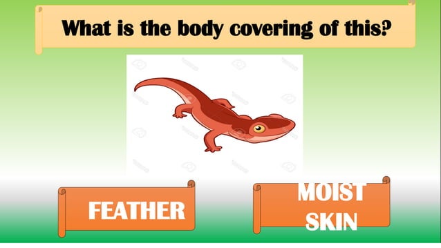Unit 3 Lesson 5 BODY COVERING OF ANIMALS.pptx