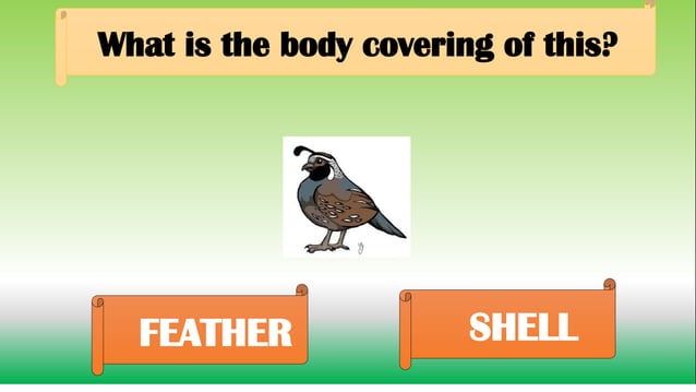 Unit 3 Lesson 5 BODY COVERING OF ANIMALS.pptx