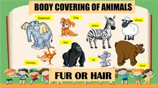 Unit 3 Lesson 5 BODY COVERING OF ANIMALS.pptx