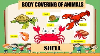 Unit 3 Lesson 5 BODY COVERING OF ANIMALS.pptx