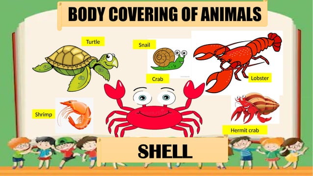 Unit 3 Lesson 5 BODY COVERING OF ANIMALS.pptx
