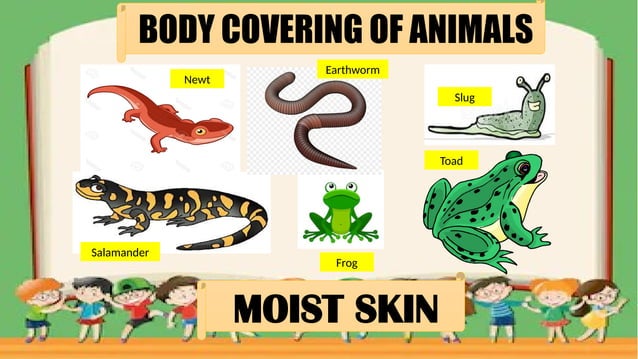 Unit 3 Lesson 5 BODY COVERING OF ANIMALS.pptx