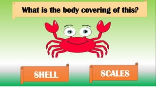 Unit 3 Lesson 5 BODY COVERING OF ANIMALS.pptx