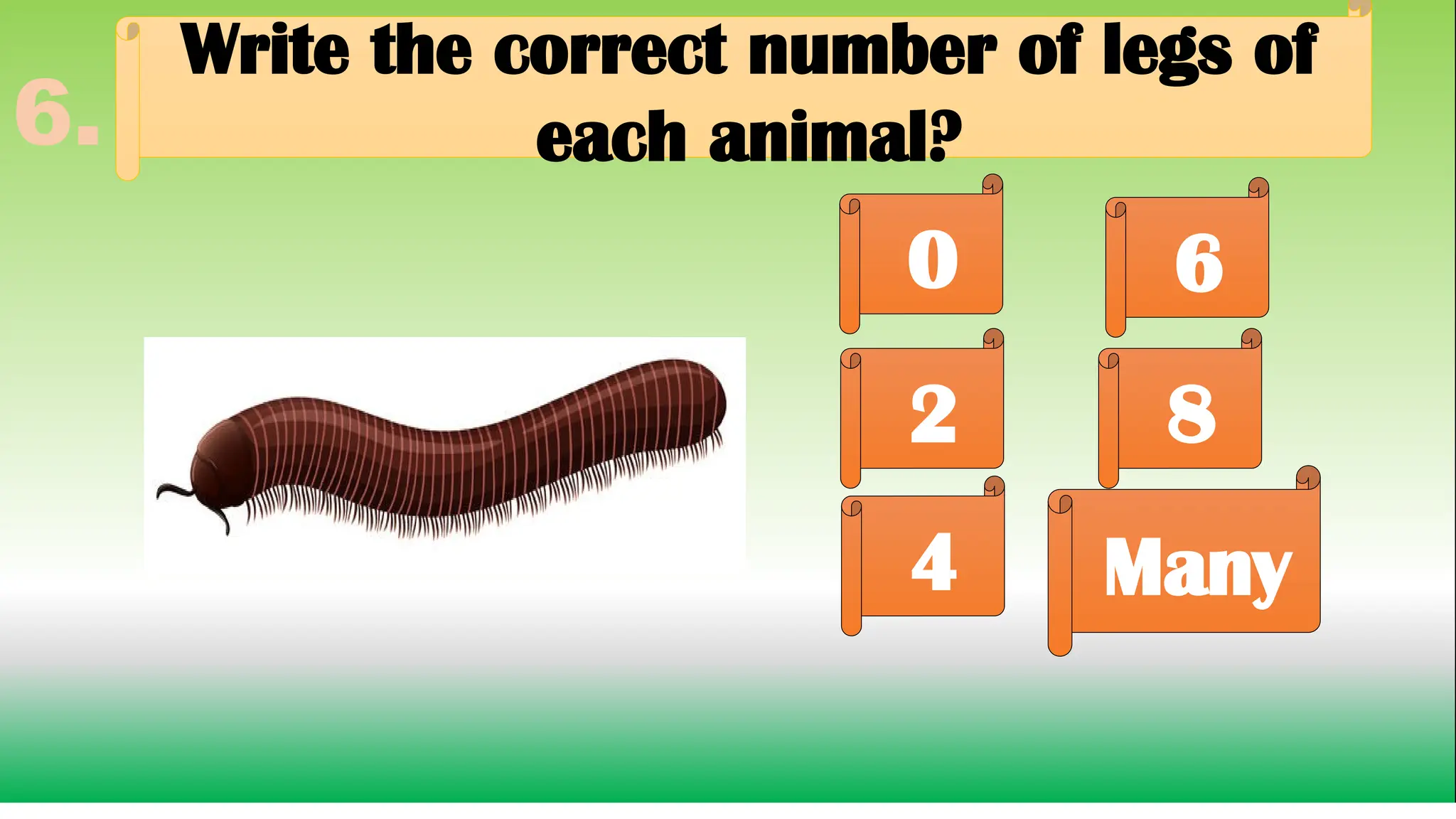 Unit 3 Lesson 6 NUMBER OF LEGS OF ANIMALS (1).pptx