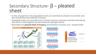 Levels_of_Protein_Structure_primary_secondary_tertiary.pptx