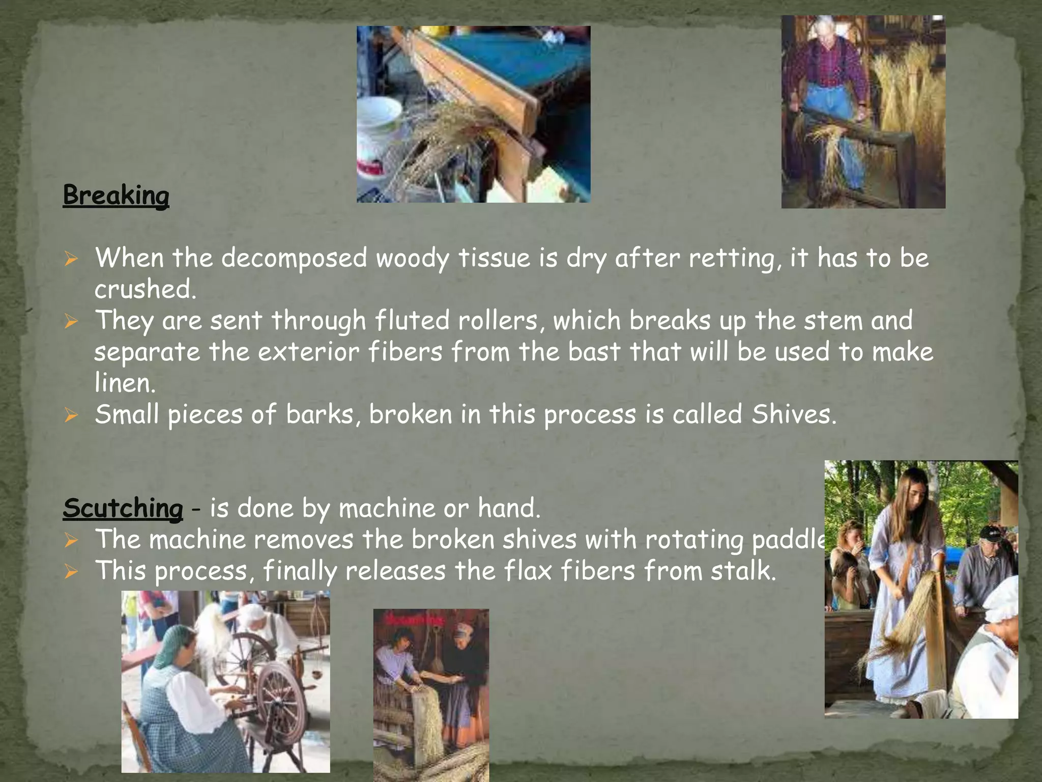 Natural Fiber to Yarn Stage - Linen | PPTX