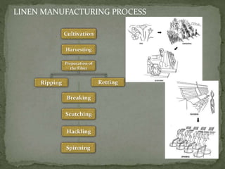 Natural Fiber to Yarn Stage - Linen | PPTX