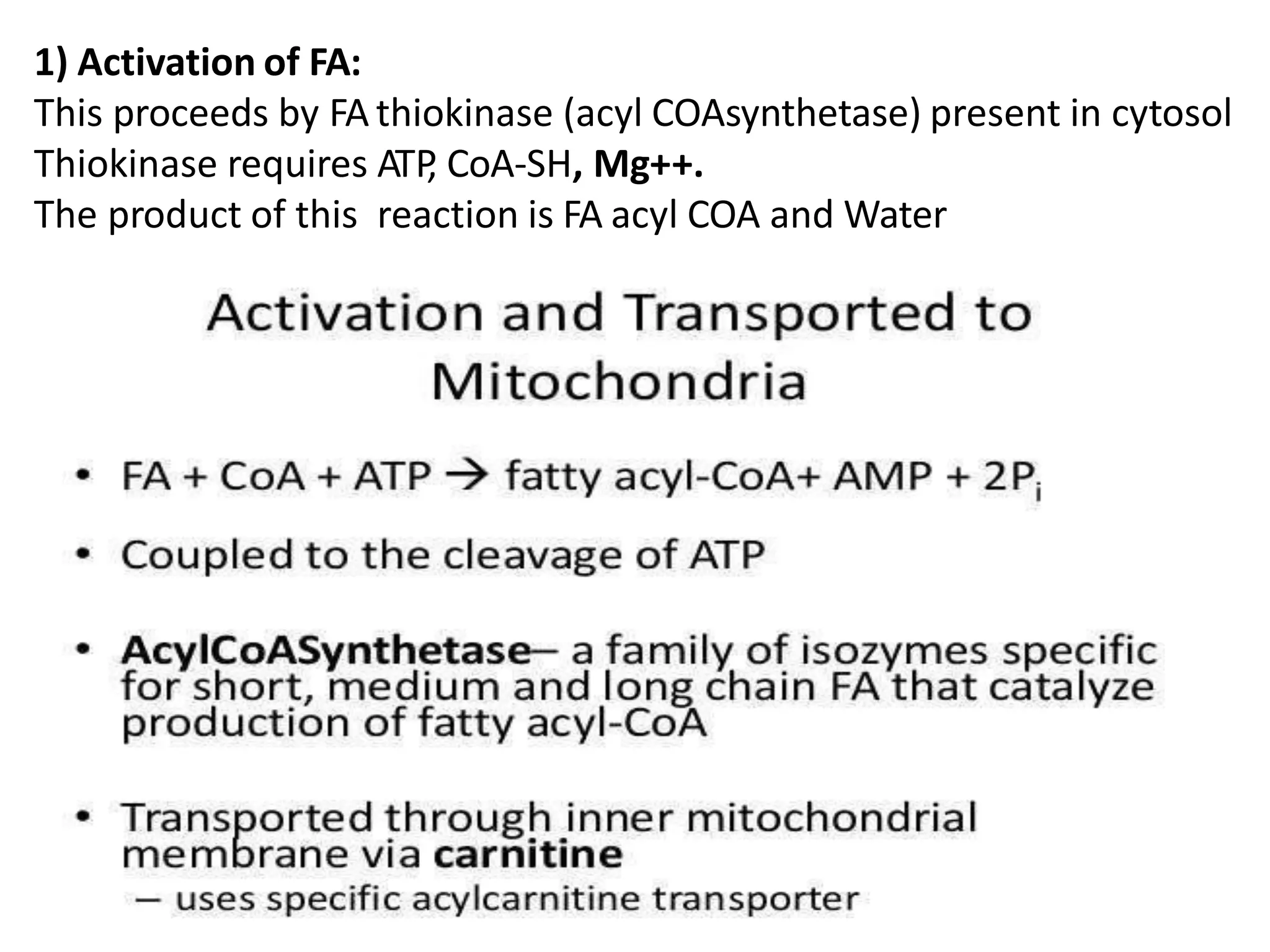 UNIT 3 Lipid metabolism fybpharm semester 2 | PPTX