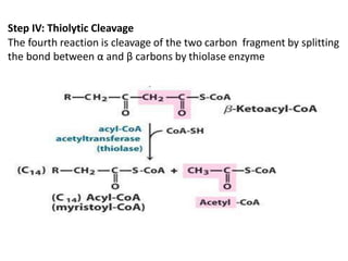 UNIT 3 Lipid metabolism fybpharm semester 2 | PPTX
