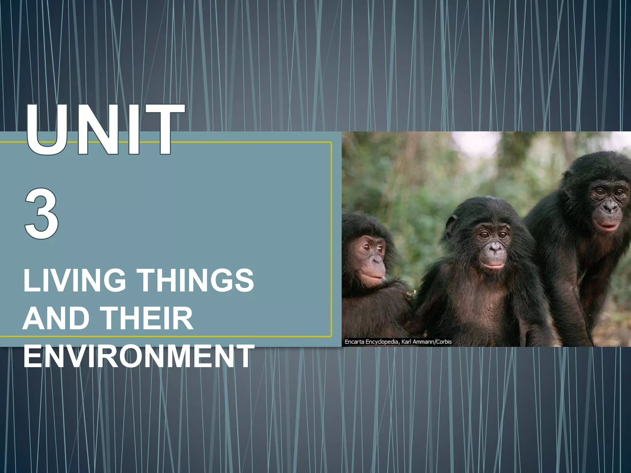 Graade 10 Unit 3 living things and their environment | PPTX