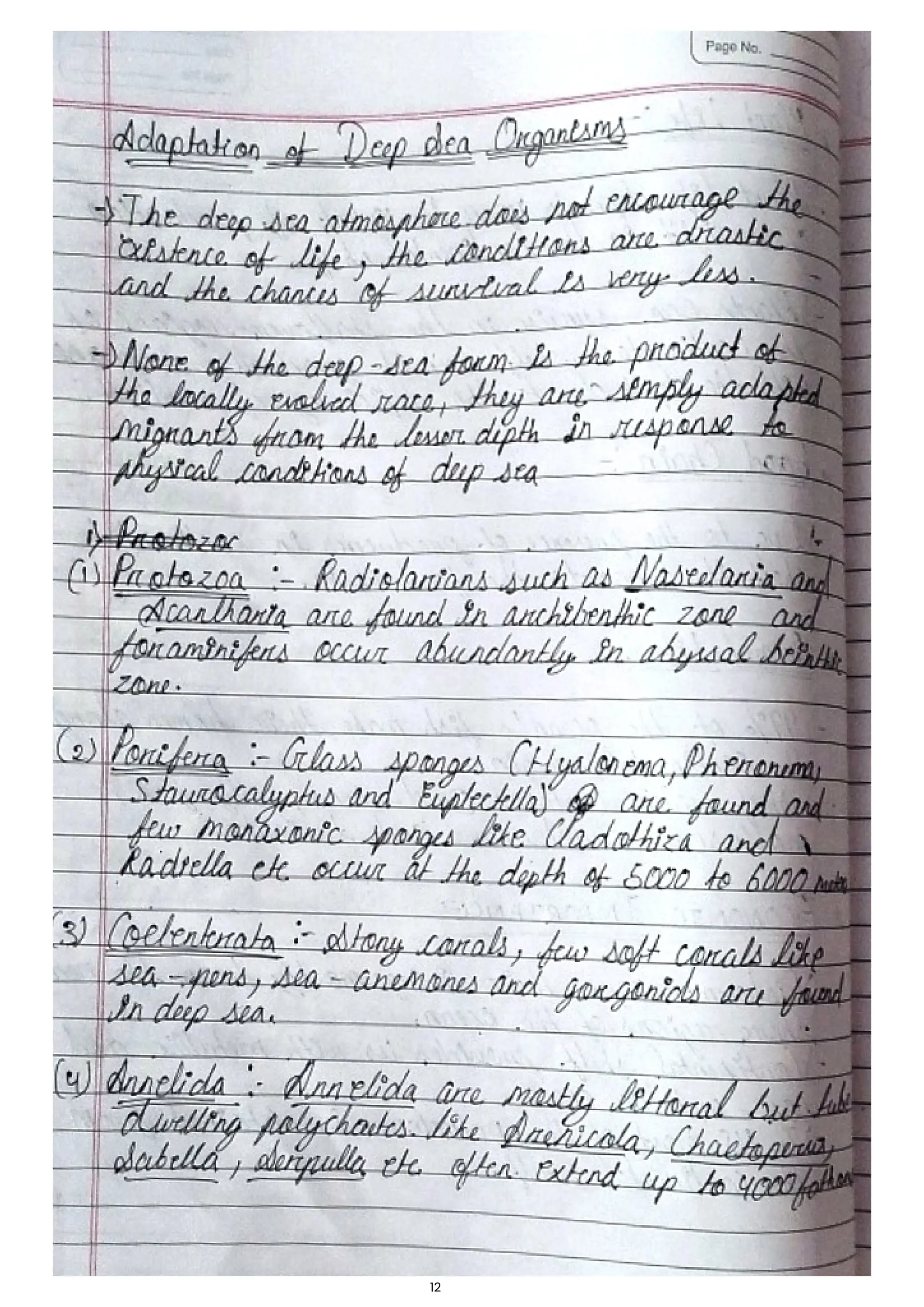 unit 3 Marine biology notes for 3rd sem generic | PDF