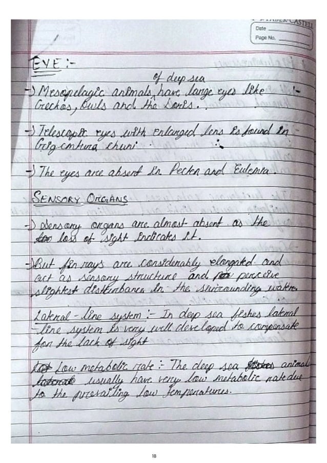 unit 3 Marine biology notes for 3rd sem generic | PDF