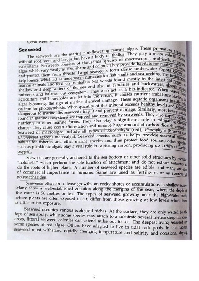 unit 3 Marine biology notes for 3rd sem generic | PDF