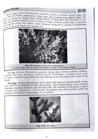 unit 3 Marine biology notes for 3rd sem generic | PDF